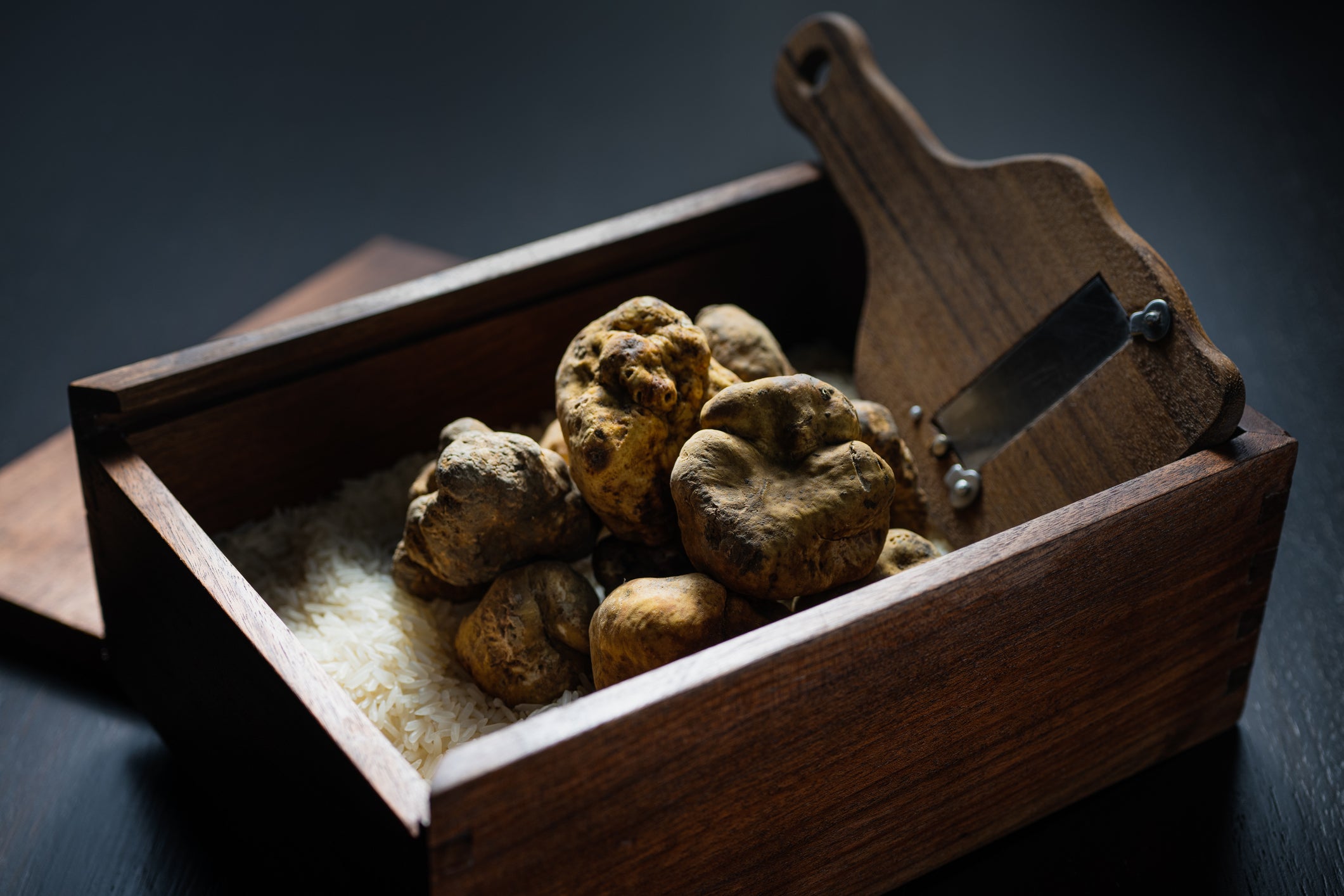 TRUFFLE 101 – Bianca Bruni Tartufi